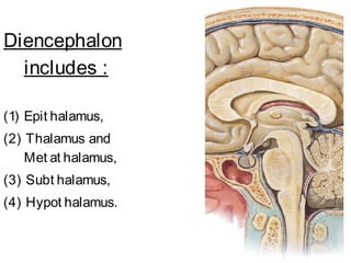 Diencephalon | PPT