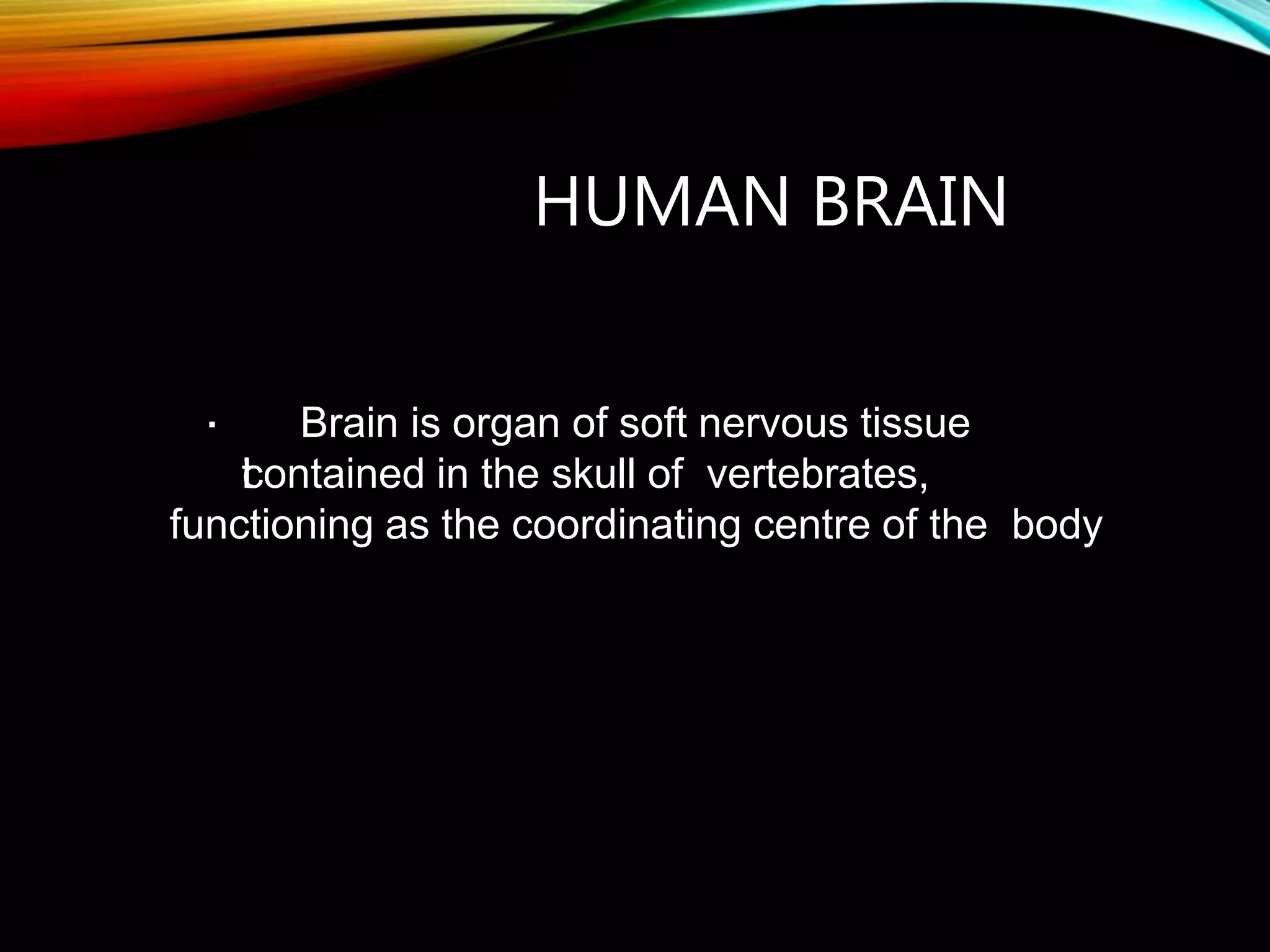 Neuro anatomy | PPTX
