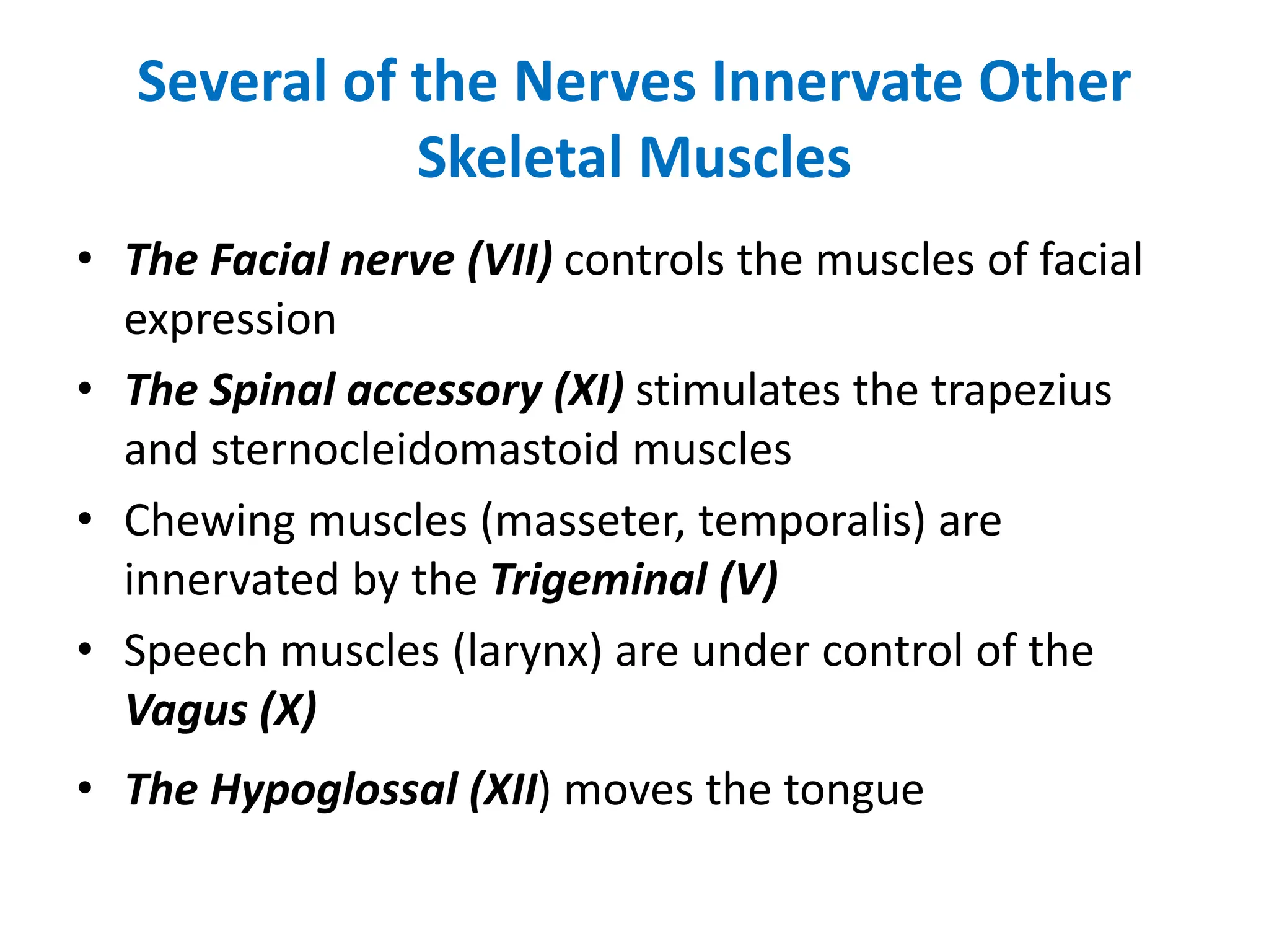 Neuroanatomy._2..Cranial.nerves.2017.pptx