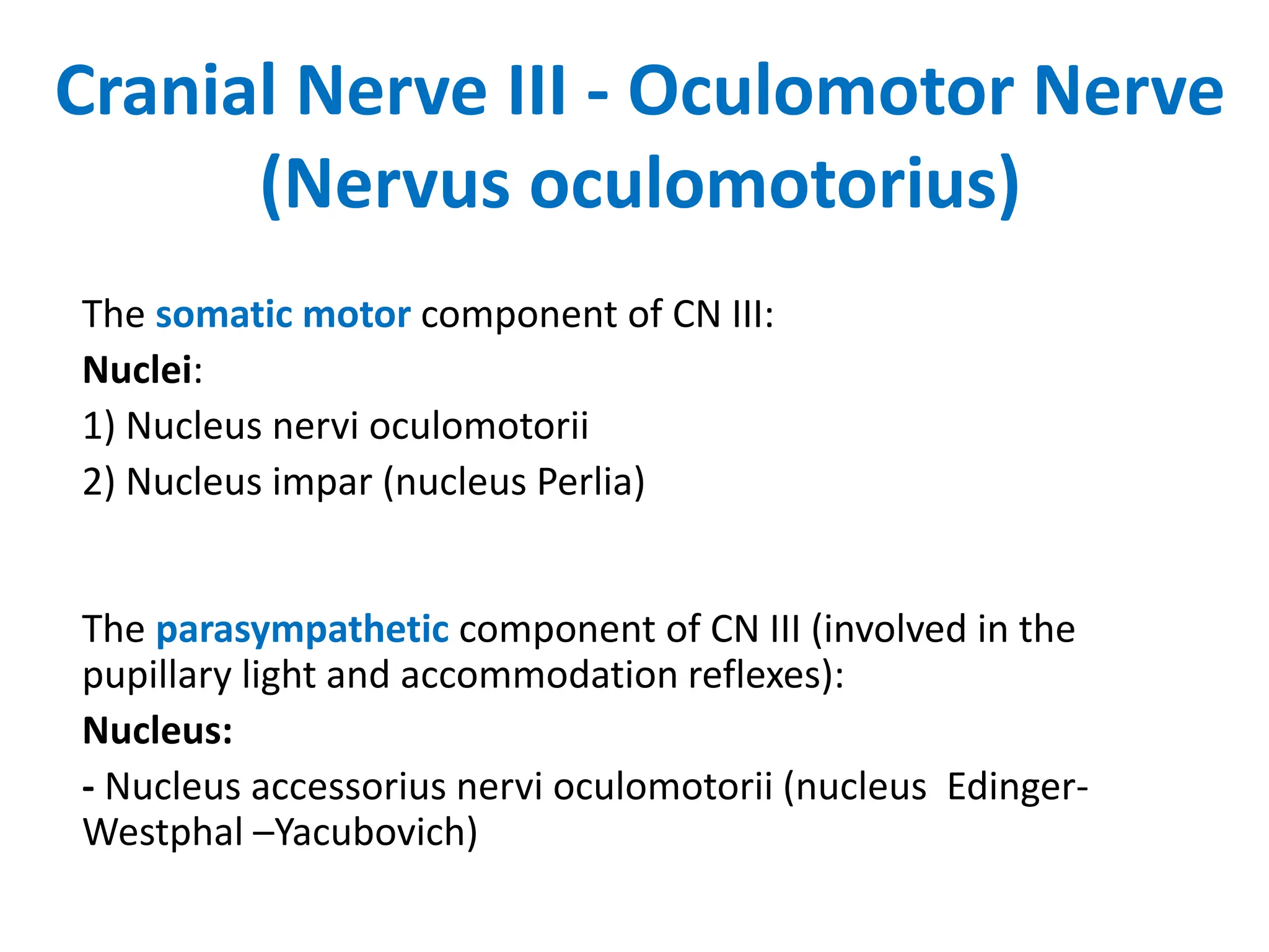 Neuroanatomy._2..Cranial.nerves.2017.pptx