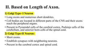 Nervous sytem and its divisions: Neuro Anatomy | PPTX