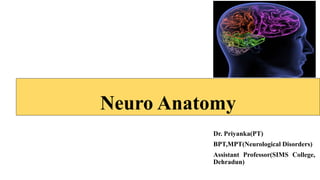 Nervous sytem and its divisions: Neuro Anatomy | PPT