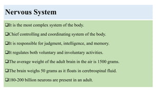 Nervous sytem and its divisions: Neuro Anatomy | PPT