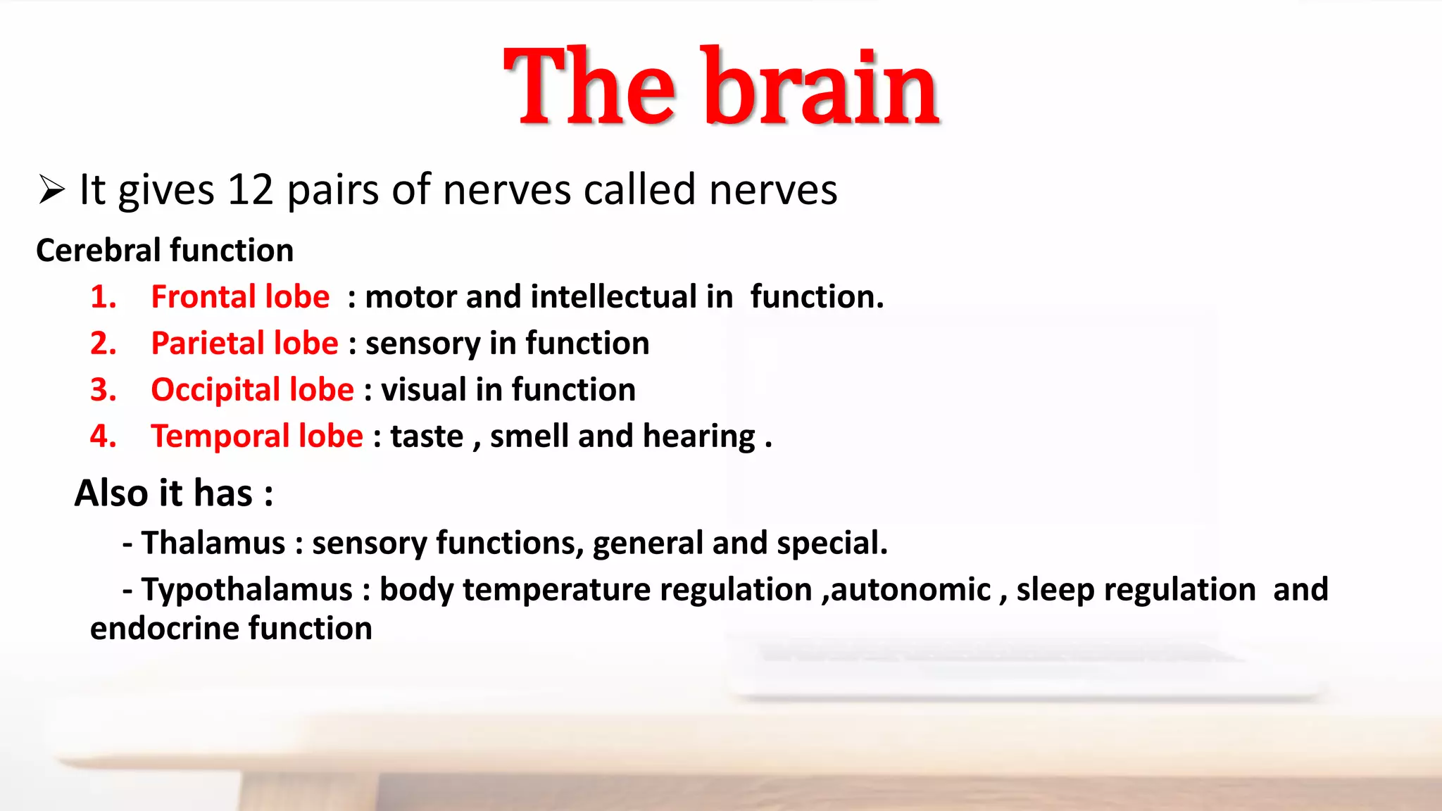 Neuro | PPT
