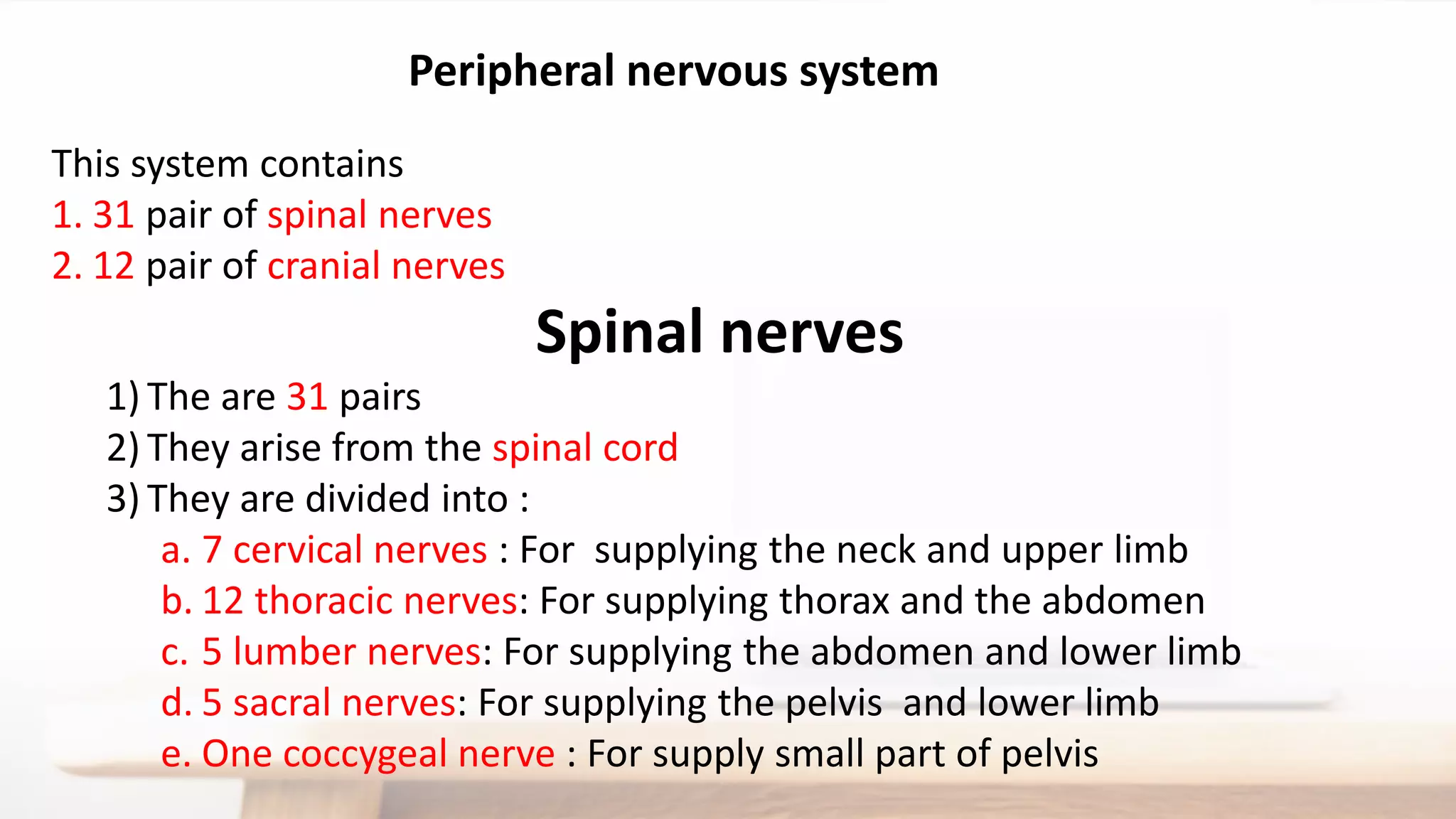 Neuro | PPT