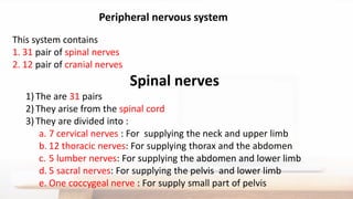 Neuro | PPTX