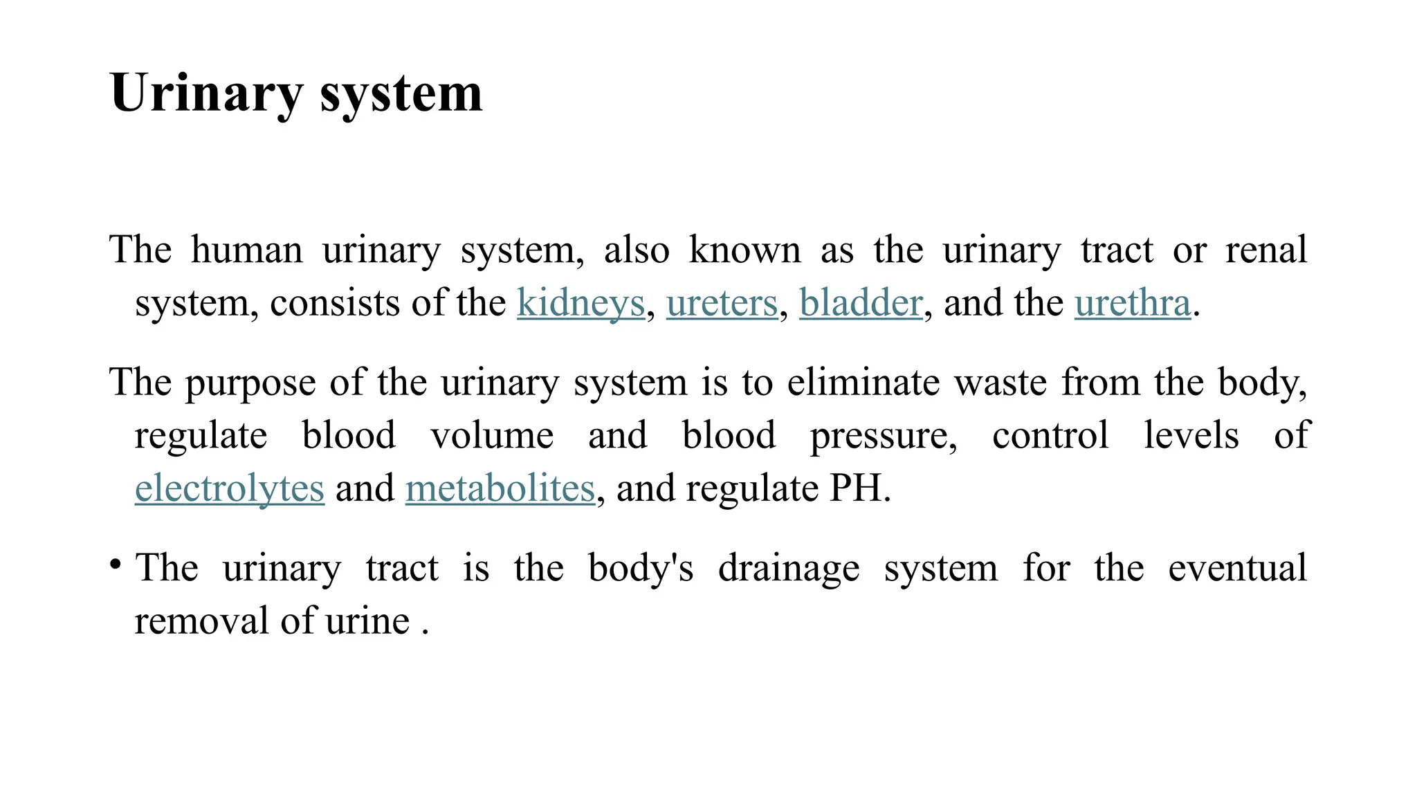 NEUROANATOMY AND APPLIED ANATOMY OF BLADDER.pptx
