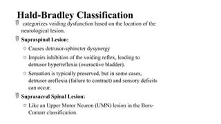 NEUROANATOMY AND APPLIED ANATOMY OF BLADDER.pptx