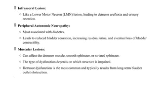 NEUROANATOMY AND APPLIED ANATOMY OF BLADDER.pptx