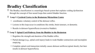 NEUROANATOMY AND APPLIED ANATOMY OF BLADDER.pptx