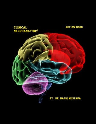 Neuroanatomy book | PDF