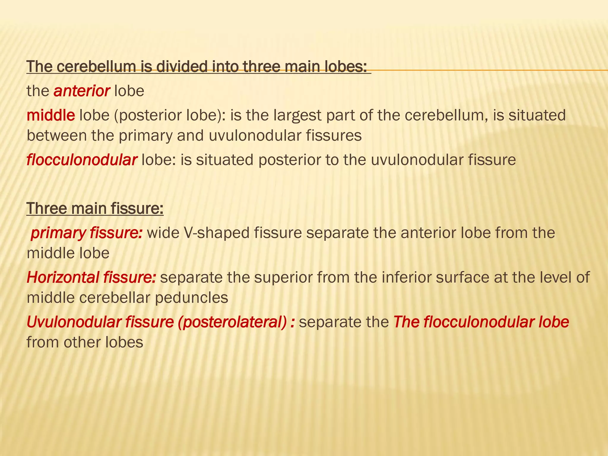 Neuroanatomy Cerebellum-5 (Muhadharaty).pdf