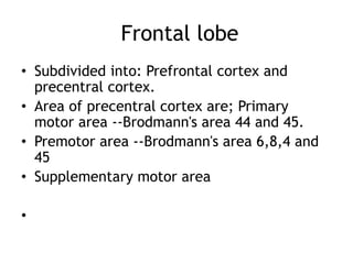 Neuroanatomy Cerebrum summary slide.pptx
