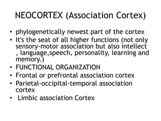 Neuroanatomy Cerebrum summary slide.pptx