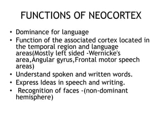Neuroanatomy Cerebrum summary slide.pptx