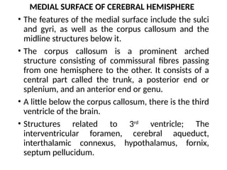 Neuroanatomy for modular-1 (1).pptx HEAD and NECK | PPTX