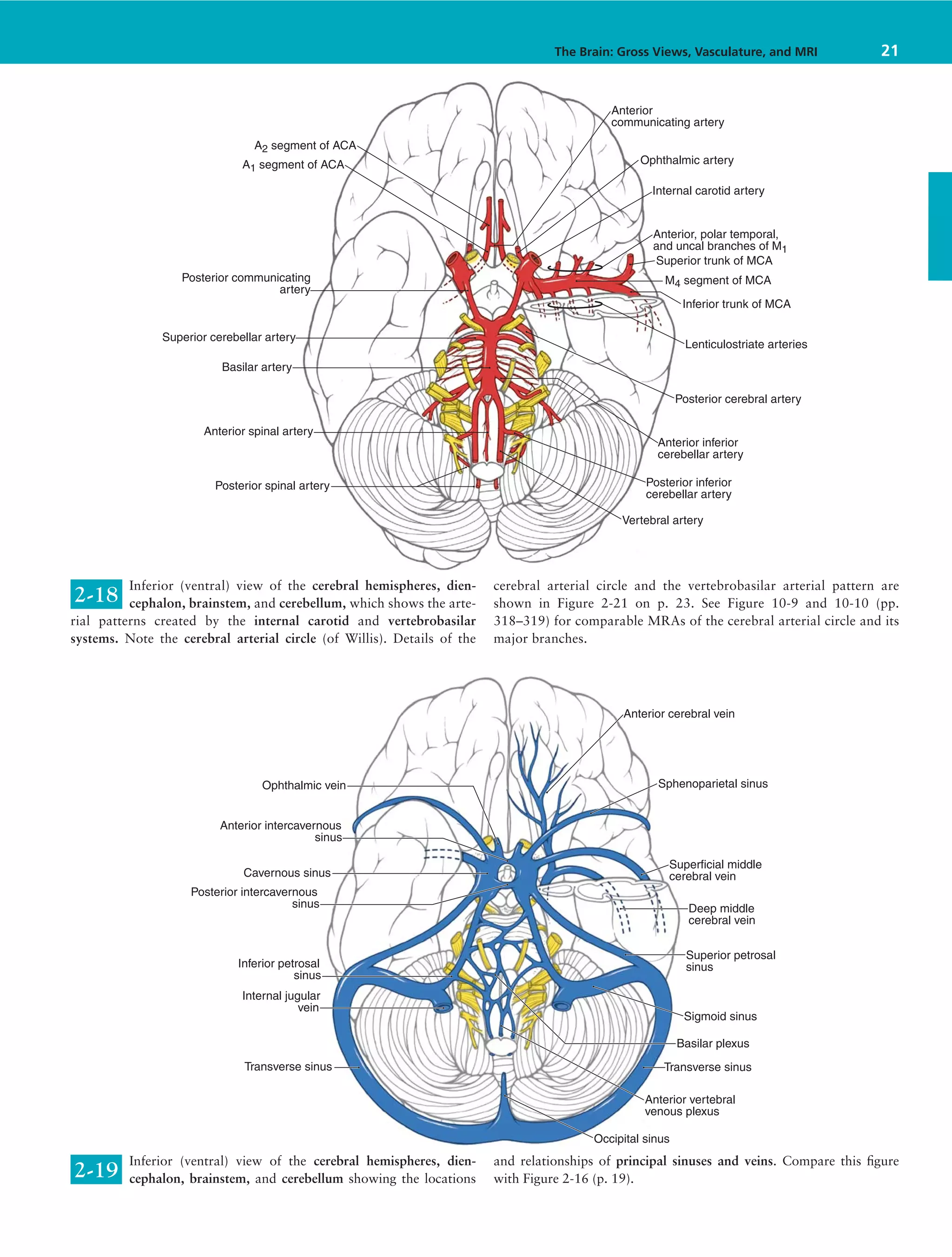 Neuroanatomy in Clinical Context -1 Duane E. Haines (9th Edition).pdf