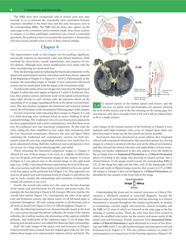 Neuroanatomy in Clinical Context -1 Duane E. Haines (9th Edition).pdf ...