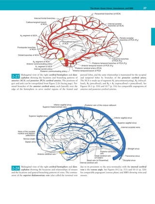 Neuroanatomy in Clinical Context -1 Duane E. Haines (9th Edition).pdf