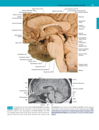 Neuroanatomy in Clinical Context -1 Duane E. Haines (9th Edition).pdf