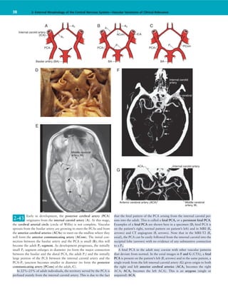 Neuroanatomy in Clinical Context -1 Duane E. Haines (9th Edition).pdf