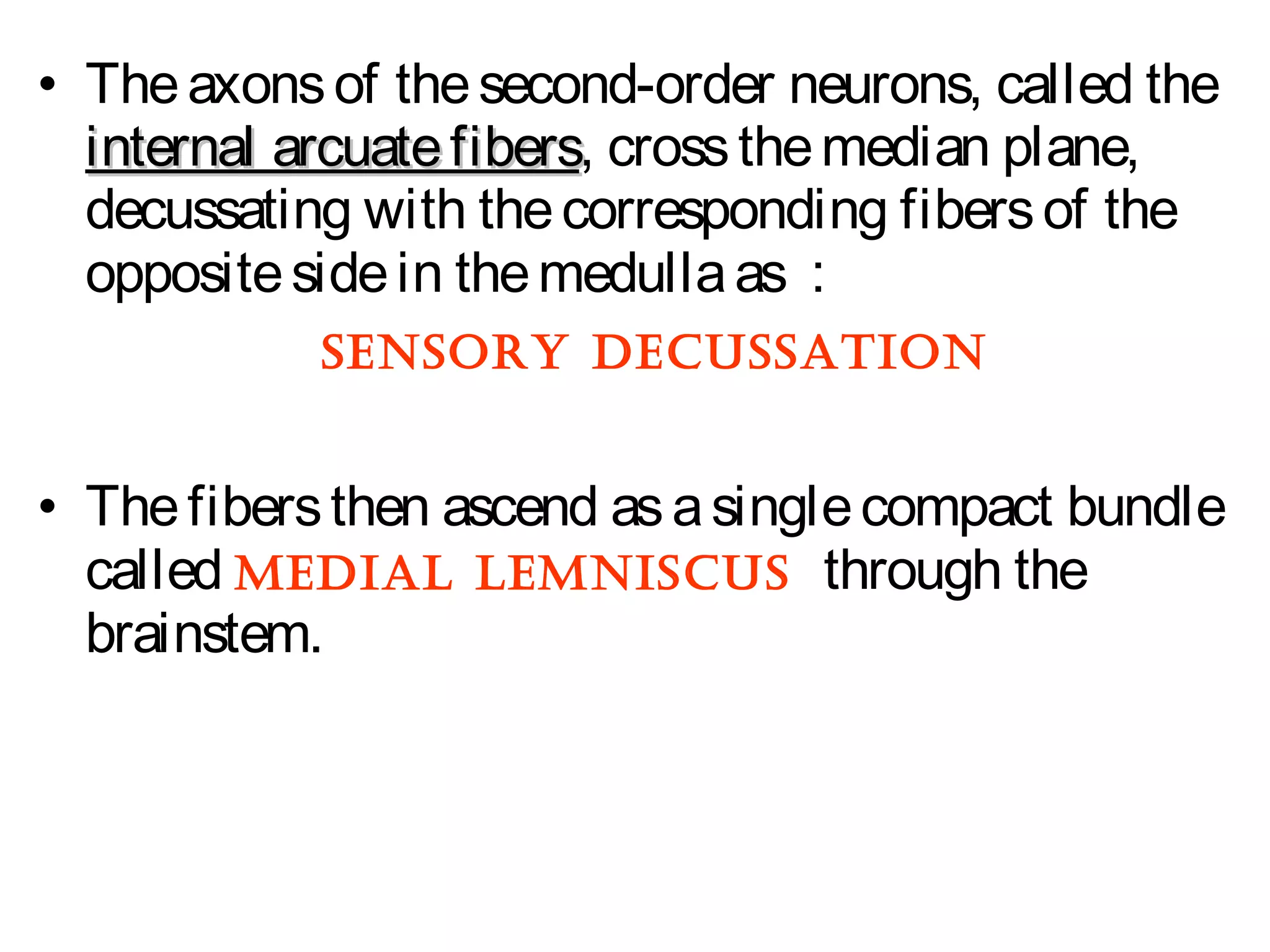 Ascending & Descending Tracts Of The Spinal Cord | PPT