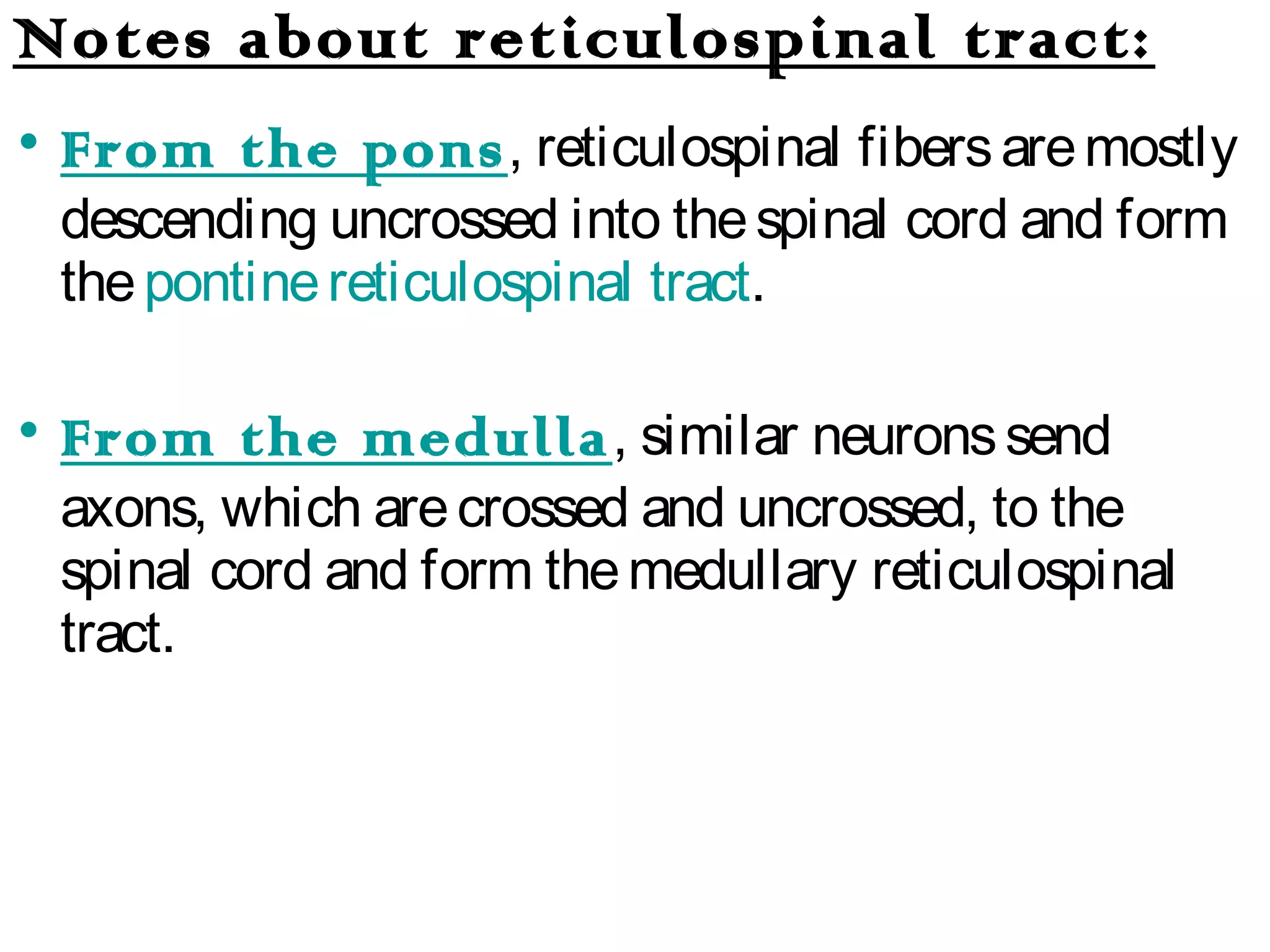 Ascending & Descending Tracts Of The Spinal Cord | PPT