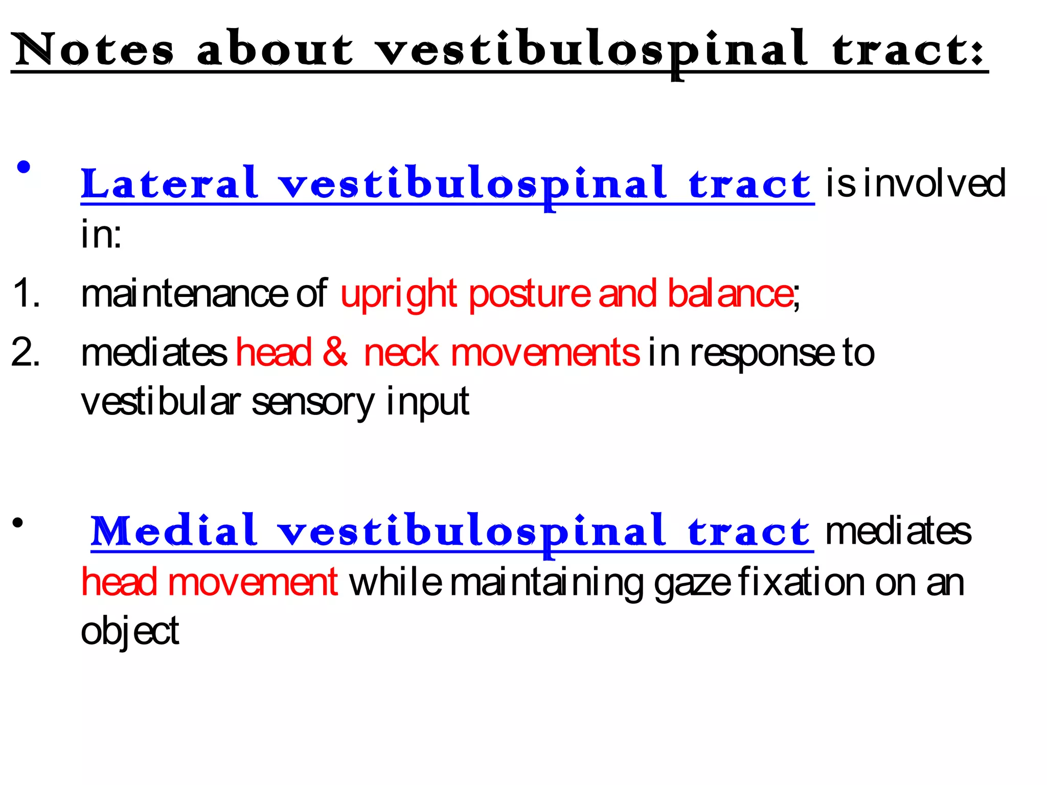 Ascending & Descending Tracts Of The Spinal Cord | PPT