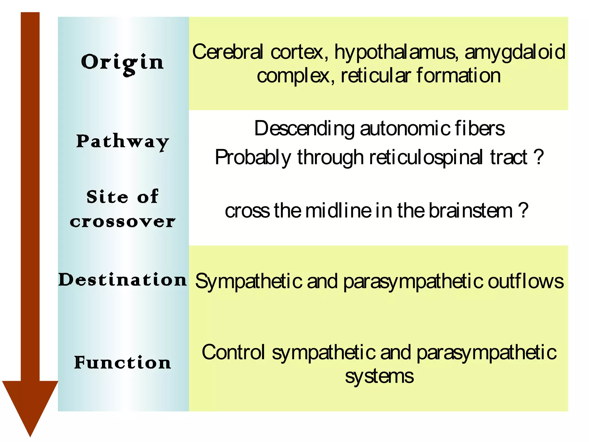Ascending & Descending Tracts Of The Spinal Cord | PPT