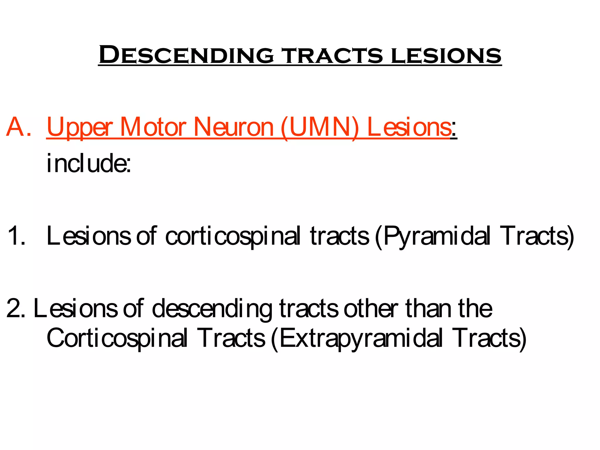 Ascending & Descending Tracts Of The Spinal Cord | PPT