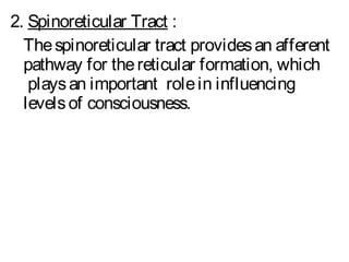 Ascending & Descending Tracts Of The Spinal Cord | PPT