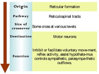 Ascending & Descending Tracts Of The Spinal Cord | PPT