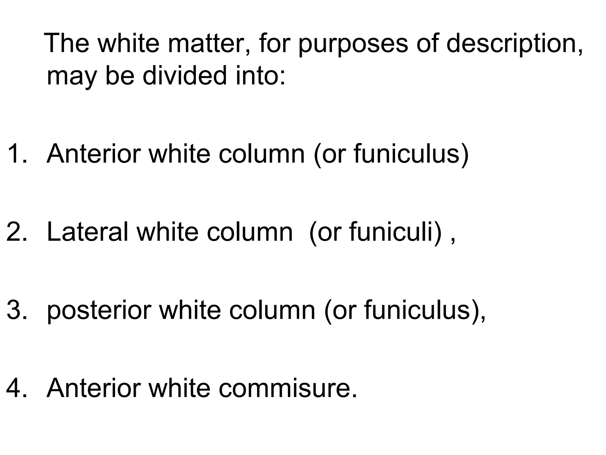 Ascending & Descending Tracts Of The Spinal Cord | PPT
