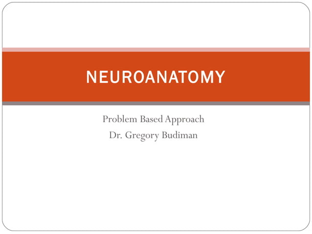 Neuroanatomy lecture | PPT