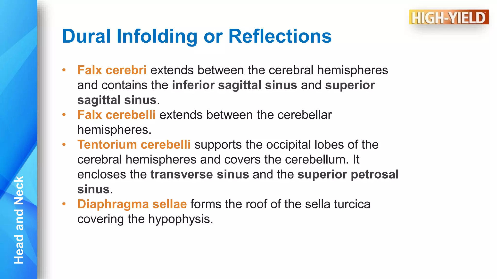 Neuroanatomy lesson 1 Head and Neck.pdf