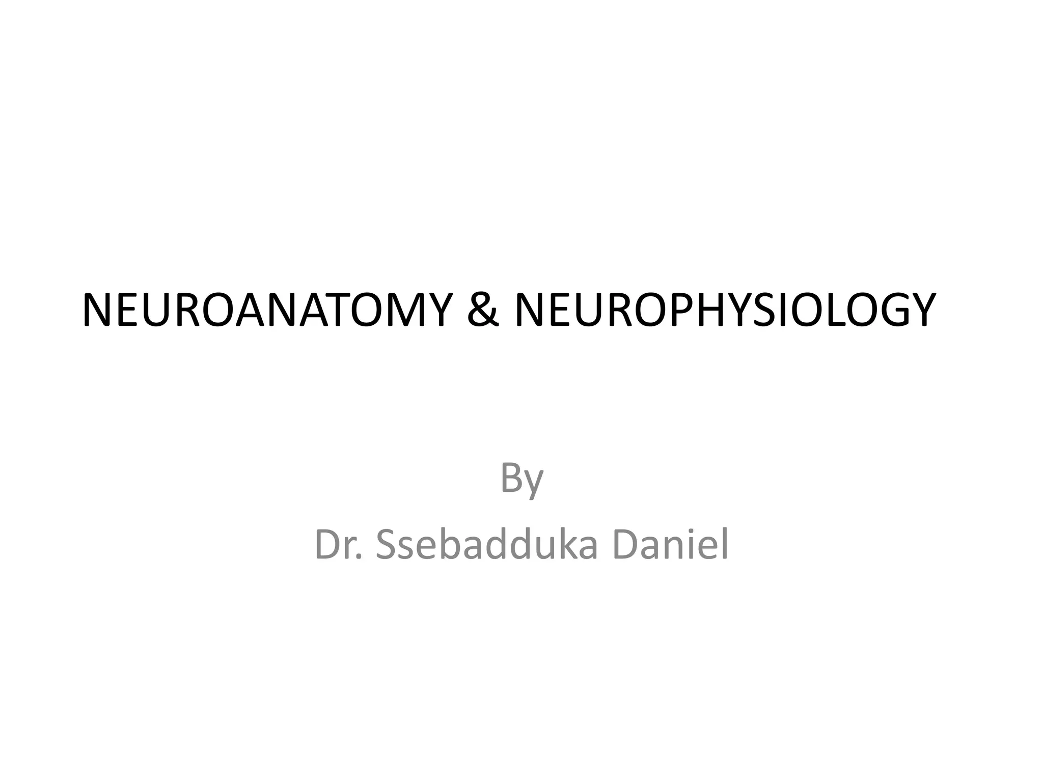 Neuroanatomy & Neurophysiology DCP 1105.ppt