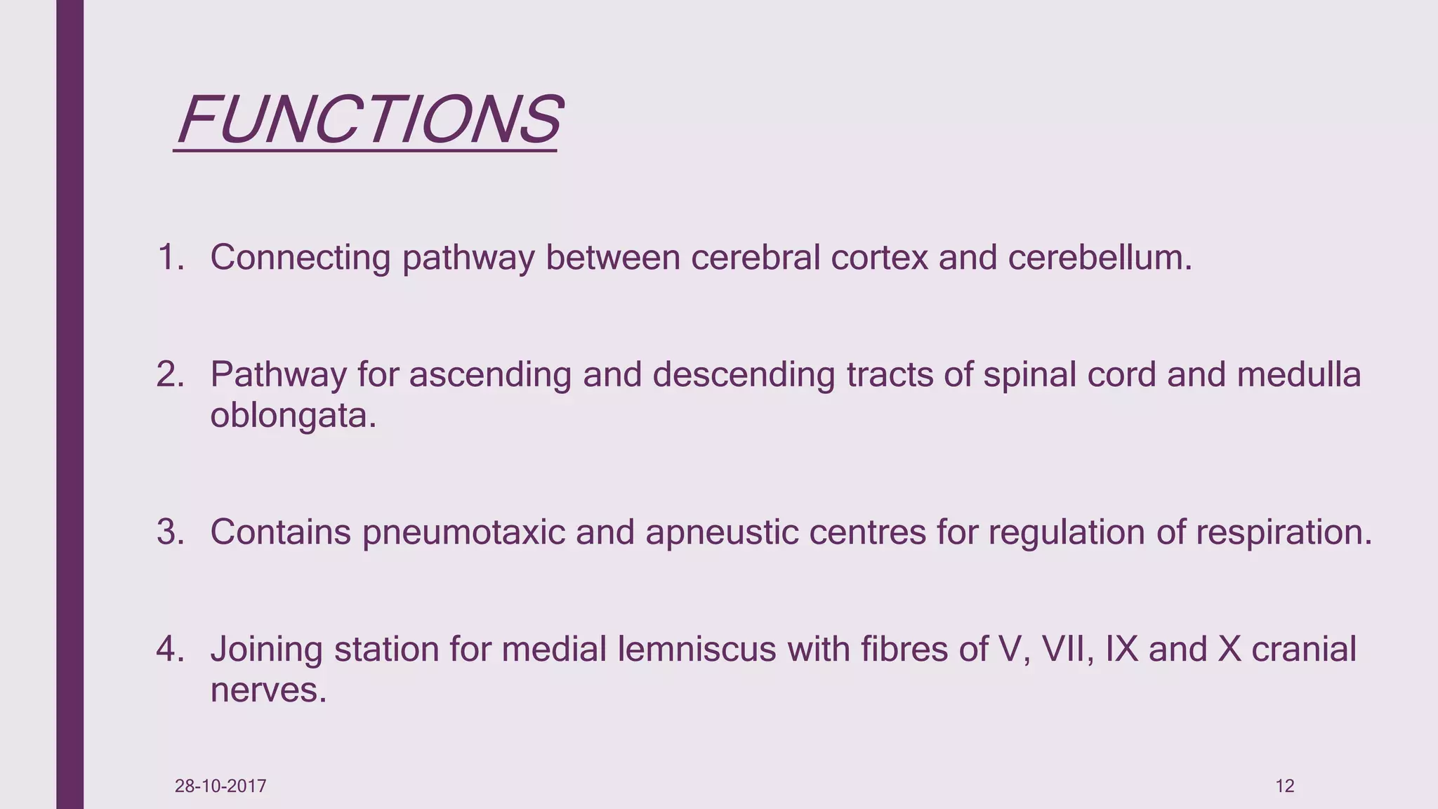 Neuroanatomy of brain stem | PPTX
