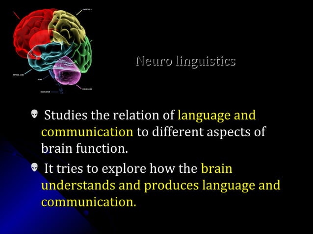 Neuroanatomy of language functions | PPT