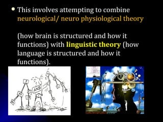 Neuroanatomy of language functions | PPT