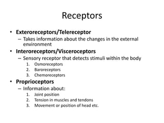 Neuroanatomy of the pain structures in the spinal | PPT