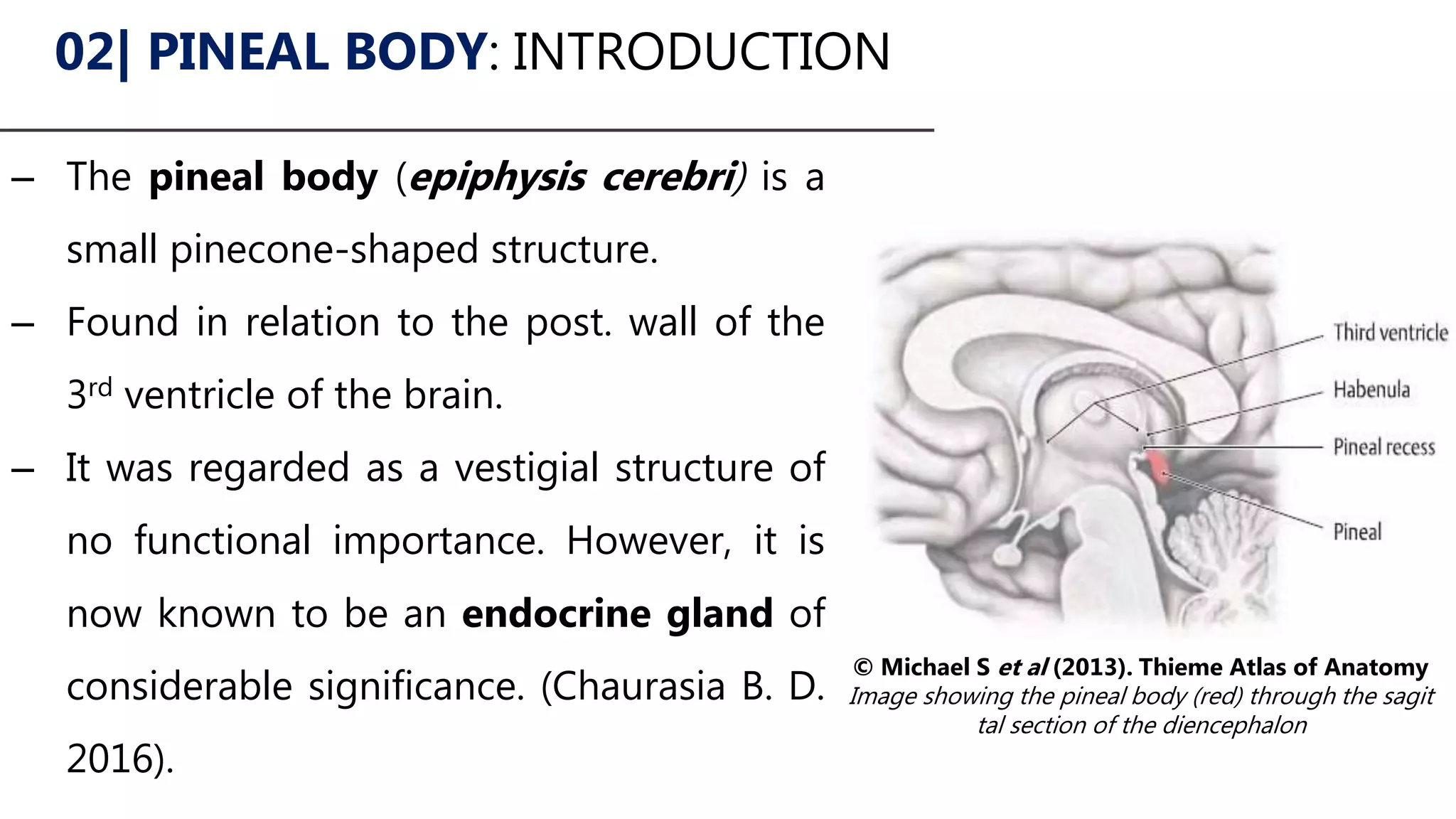 A seminar presentation on the neuroanatomy of the pineal body | PPTX