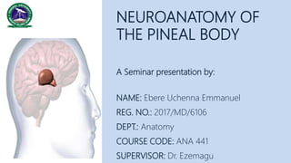 A seminar presentation on the neuroanatomy of the pineal body | PPTX