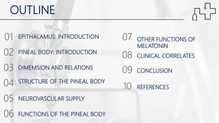 A seminar presentation on the neuroanatomy of the pineal body | PPTX