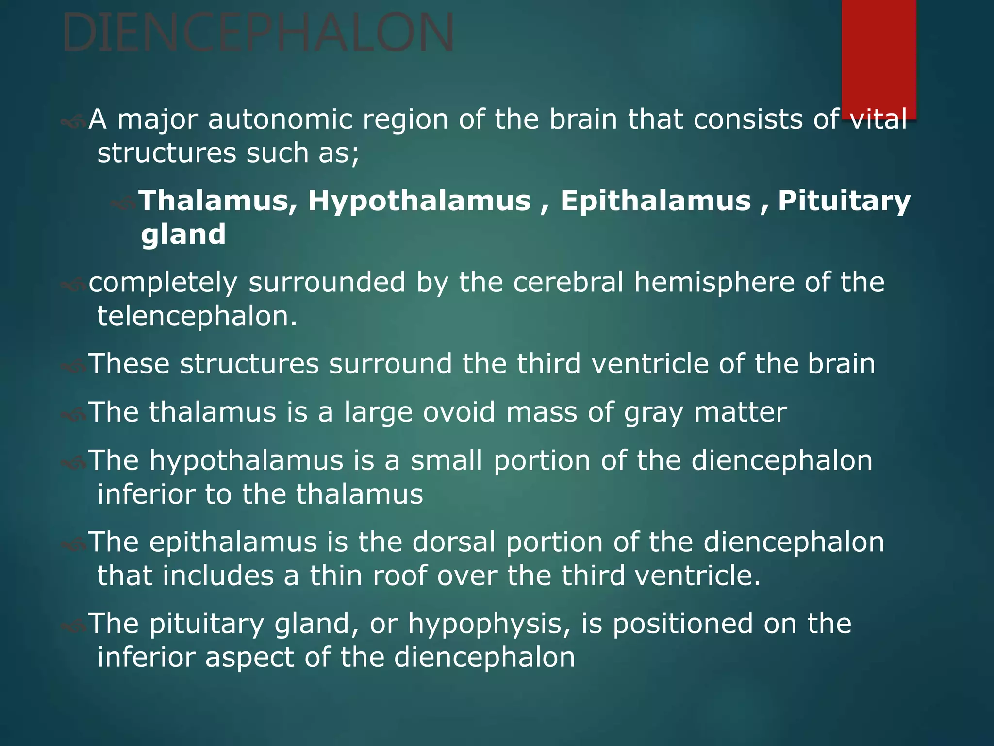 Neuroanatomy Overview | PPTX