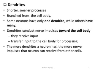 NEUROANATOMY; psychatric nurses.pptx