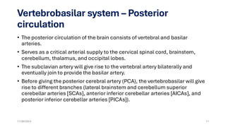 Cerebral Hemispheres: Arterial supply and Venous drainage | PDF