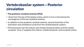 Cerebral Hemispheres: Arterial supply and Venous drainage | PDF