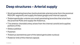 Cerebral Hemispheres: Arterial supply and Venous drainage | PDF