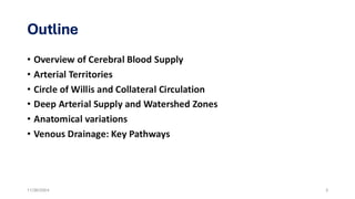 Cerebral Hemispheres: Arterial supply and Venous drainage | PDF