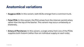 Cerebral Hemispheres: Arterial supply and Venous drainage | PDF